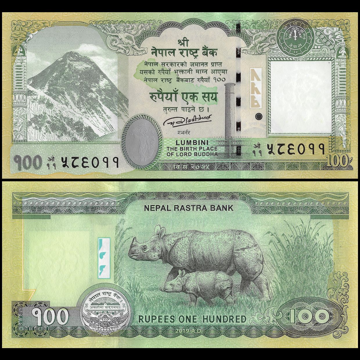 Buy Banknotes - Nepal - 100 Rupees 2019 - Pick- NEW / B291b | MoneyCorner