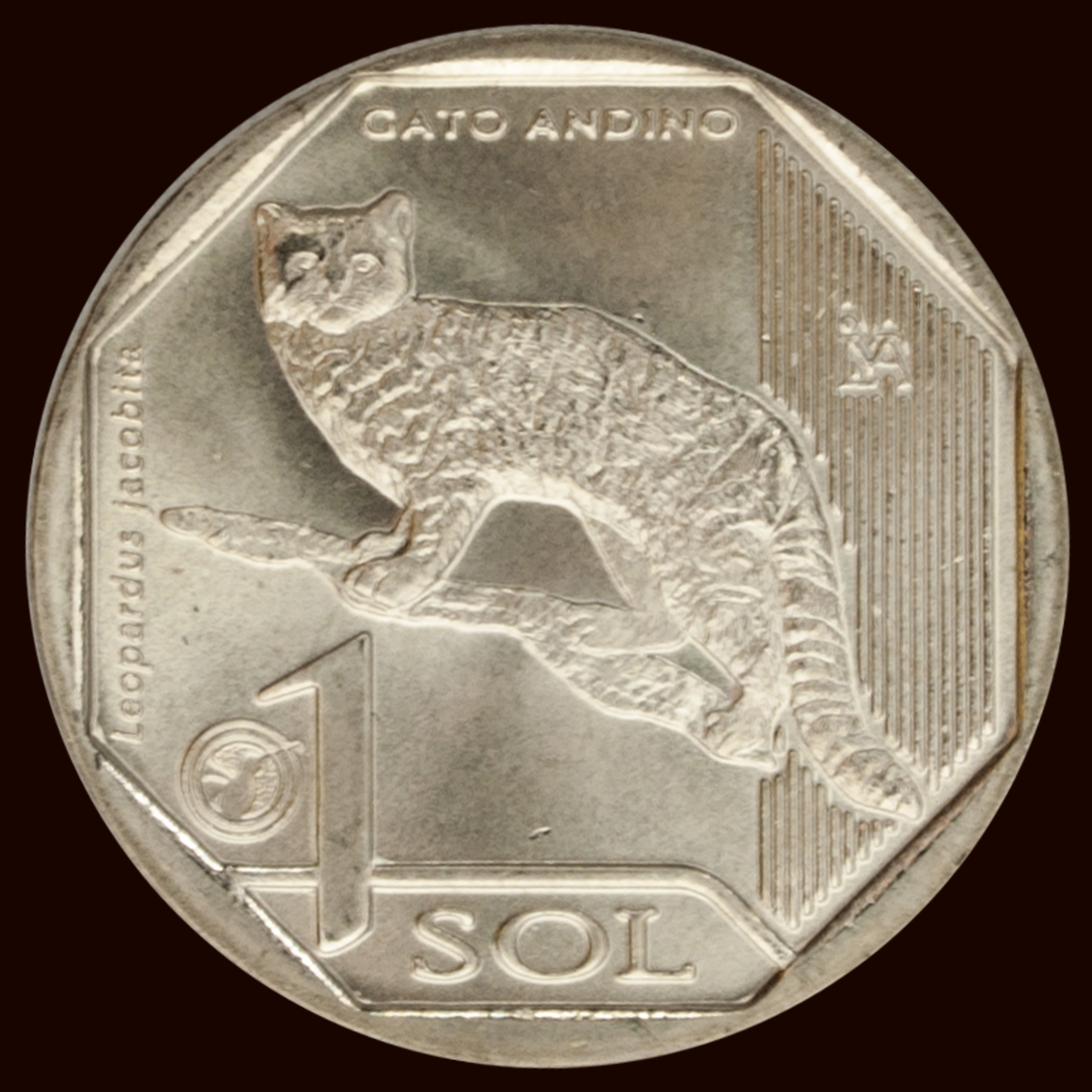 Buy Coins - Peru - 1 Sol 2019 - KM# 419 - COMMEMORATIVE | MoneyCorner