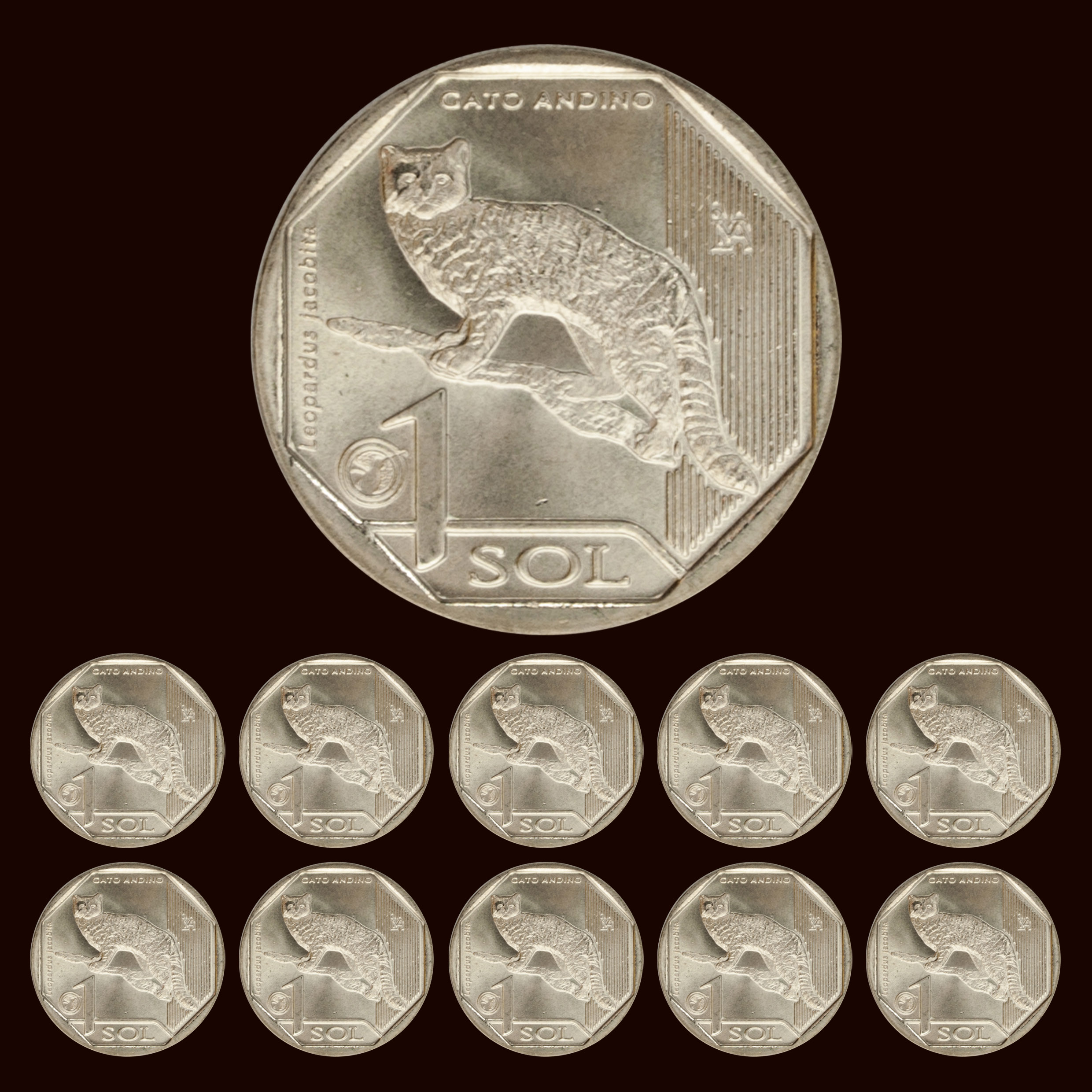 Buy Coins - Peru - 1 Sol 2019 - KM# 419 - COMMEMORATIVE - Set 10 PCS ...